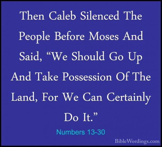 Numbers 13 - Holy Bible English - BibleWordings.com